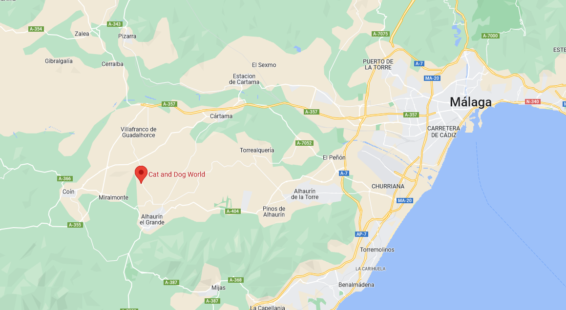 Cat and Dog World - Kennels & Cattery